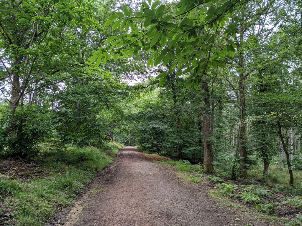 Home - Willow Forest Stays